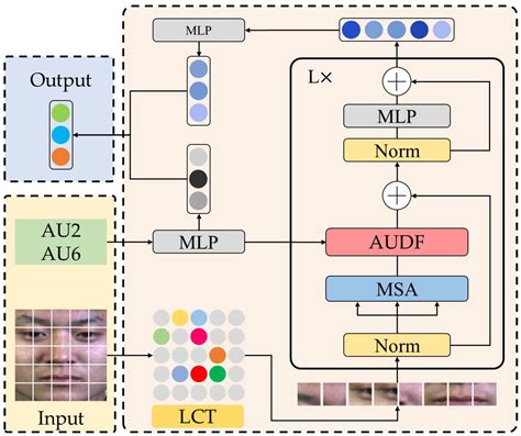 Multimodal Attention Dynamic Fusion Network For Facial Micro Expression