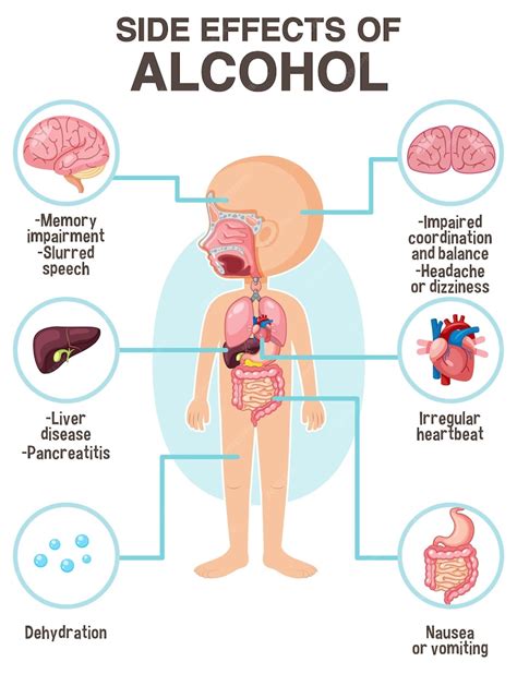 Premium Vector Human Anatomy Diagram Cartoon Style Of Alcohol Side
