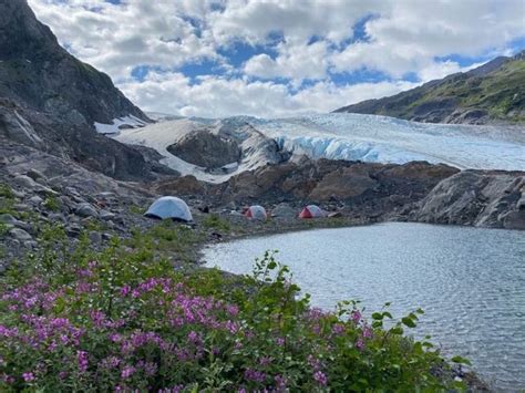 Kenai Fjords Glacier Discovery Trek Kenai Backcountry Adventures
