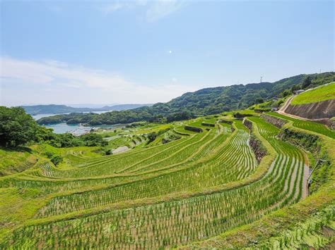 大浦の棚田 みんなの絶景スポット