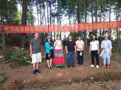廣西桂林文學院組織簽約作家考察全州縣安和紅軍洞 每日頭條