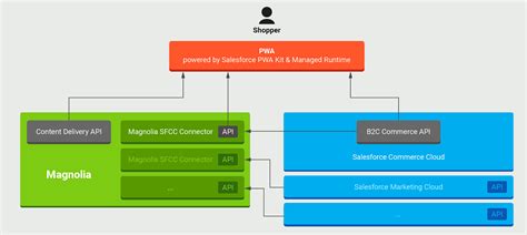 Headless Commerce With Salesforce Commerce Cloud Magnolia Headless Cms