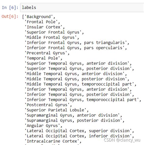 Nilearn从大脑图谱中提取时间序列及制作功能连接python根据矩阵画脑功能连接图 Csdn博客