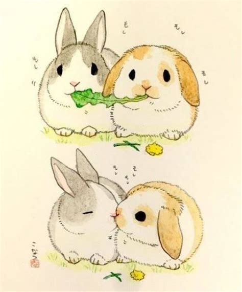 Kisela Repa Čarapa Floyd Blog Hr