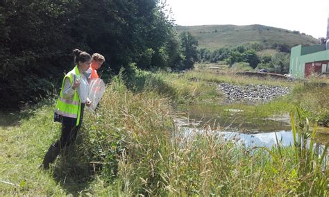Biodiversity Solutions
