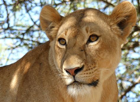 Moraway Adventures Global Expertise To Craft Your Perfect Adventure