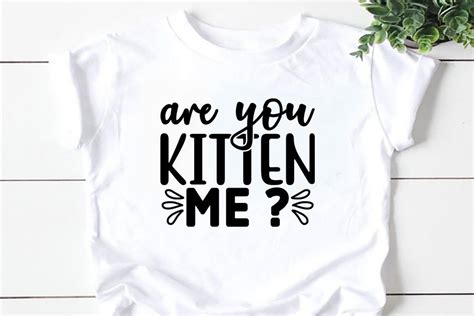 Are You Kitten Me Graphic By Mkdesign Store · Creative Fabrica