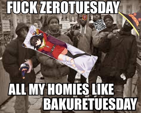 Why Not Rgoodanimemes