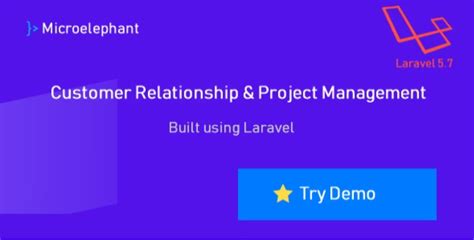 Digital Vyapar Seva — Microelephant Crm And Project Management System