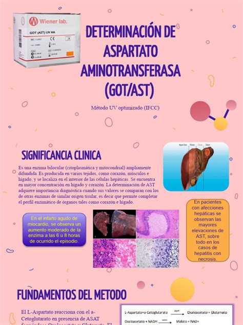 Determinación De Tgo Y Tgp Pdf Biomoléculas Especialidades Medicas