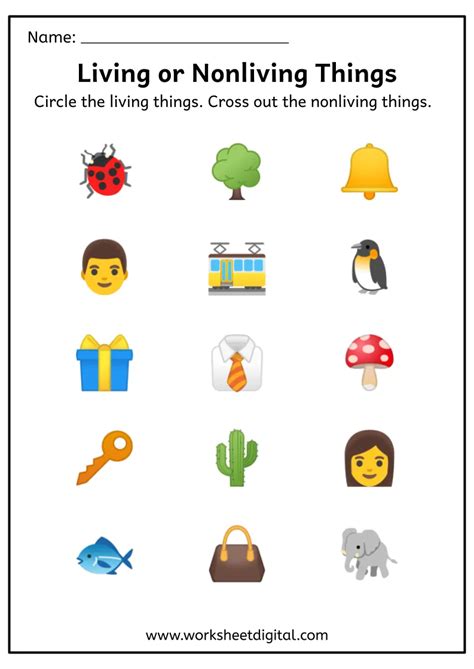 Living Or Nonliving Things Worksheet Worksheet Digital 1 Teacher