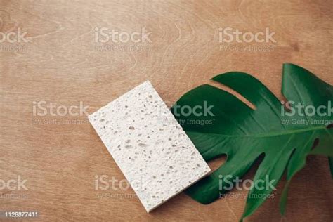 녹색 Monstera 잎 나무 배경에 재사용 천연 펄프 스펀지 제로 폐기물 개념 플랫 하다 단일 사용 플라스틱 금지 지속 가능한