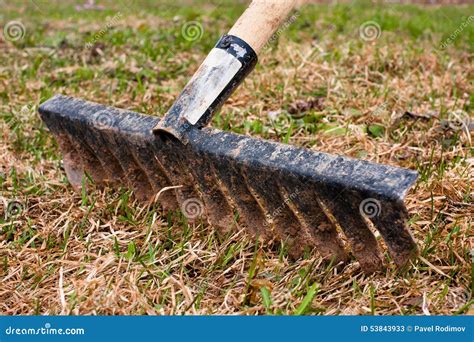 Removal Of The Old Grass With Rake Stock Image Image Of Land Remove 53843933
