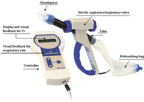 Short Term Effects Of Normocapnic Hyperpnea And Exercise Tra
