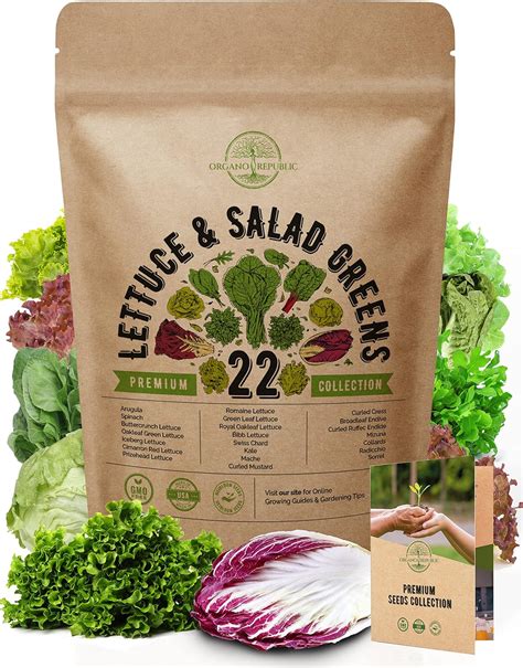 22 Lettuce And Salad Greens Seeds Variety Pack 10 000 Non