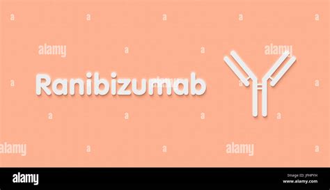 Ranibizumab Monoclonal Antibody Fragment Fab Drug Targets Vascular