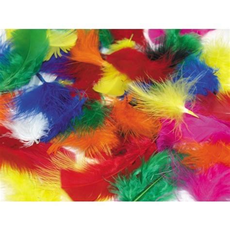 School Assorted Bright Coloured Craft Feathers 28g Pack 1 Education
