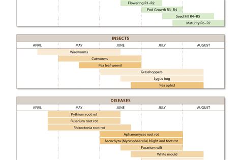 Field Pea Insect And Disease Scouting Calendar Manitoba Pulse
