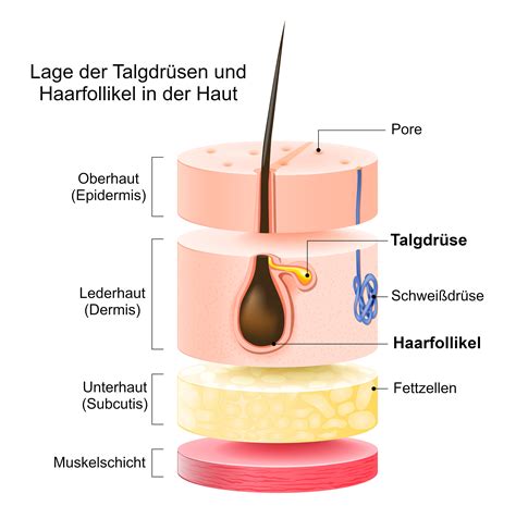 Akne Gesundheitsportal