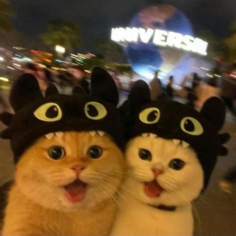 Stream Kin And Putrid Munchkin And The Sphynx 🦊🦌 By Kyuutekult Listen