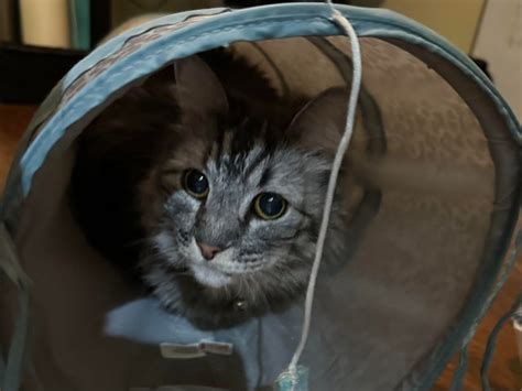 Shes Plotting Something… R Attackeyes