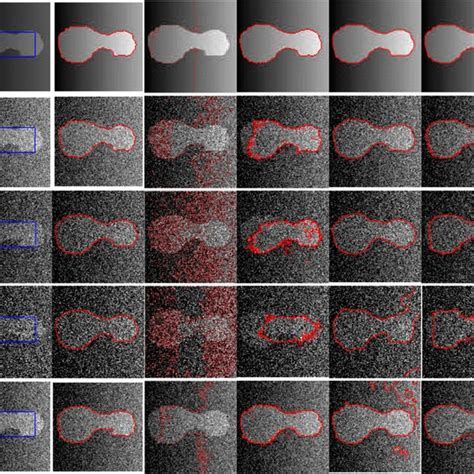 Segmentation Results Of Noisy Images Download Scientific Diagram
