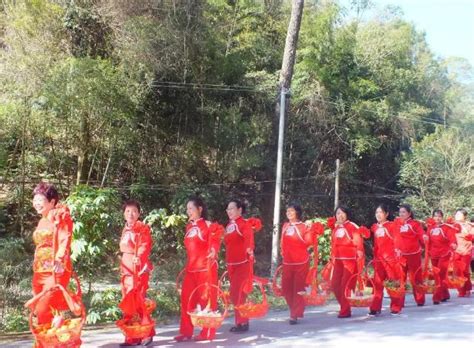 熱鬧大埔這村200多名外嫁女集體回娘家 每日頭條
