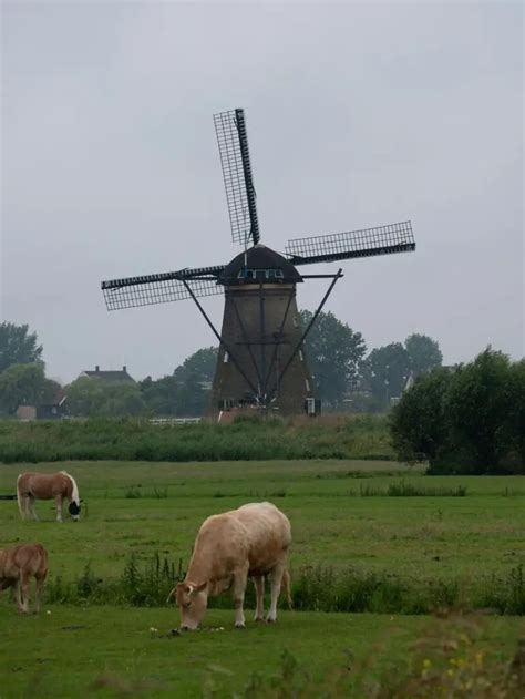 The Windmills Of The Netherlands History Curiosities And Where To