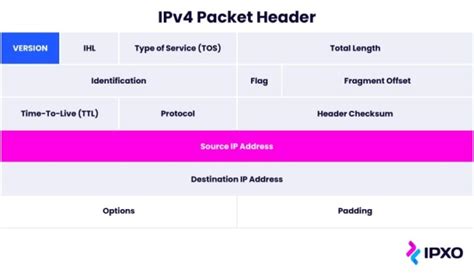 First Came IPv Then IPv What Happened To IPv IPXO