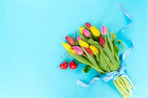 핑크 하트 부활절 튤립 꽃 사진 사진 무료 다운로드 Lovepik