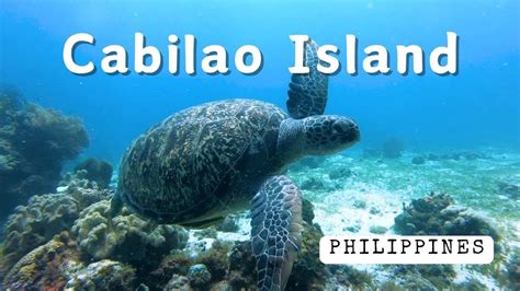 Scuba Diving In Cabilao Island Bohol Philippines Youtube