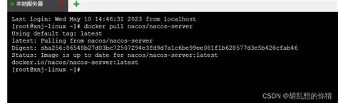 如何使用docker安装nacosdocker怎么下载 Arm架构的nacos镜像 Csdn博客