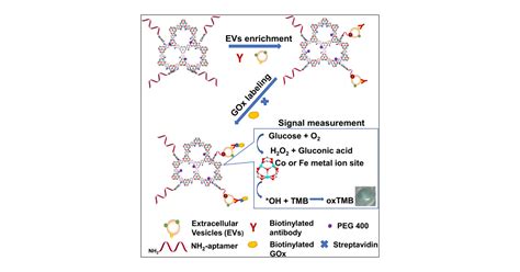 Bimetallic Metalorganic Framework Feco Mil 88nh2 Exhibiting High