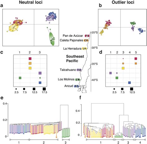 Genetic Clustering Of Neutral And Outlier Snp Loci For Pyura Chilensis