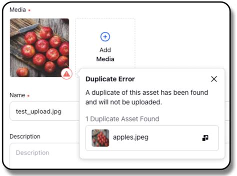 ‎avoid Duplicates While Adding Assets In Asset Manager Sprinklr Help