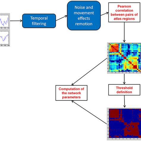 Construction Of Weighted And Binary Correlation Matrices Of The Brain