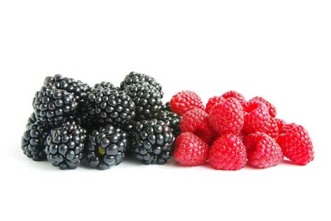 Premium Photo Raspberry And Blackberry