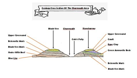 Geology Cross Section Of Charmouth Area Devon Geography