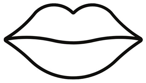 Bespoke Lnp Kit Lipnpour