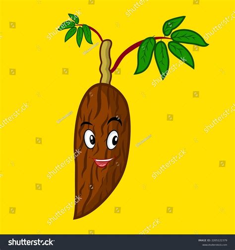 Smiling Cute Cassava Clip Art Isolated Stock Vector Royalty Free
