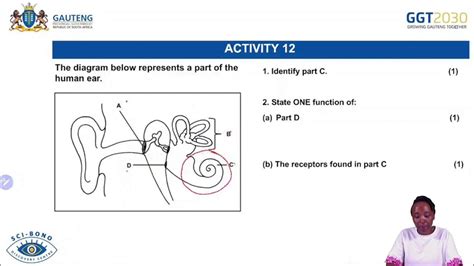 19 October 2023 14 00 15 30 Life Sciences Grade 12 Youtube