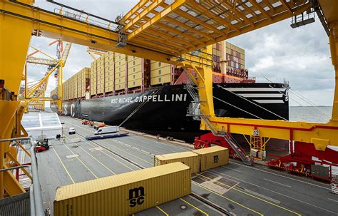 Combative Msc Says Shippers Must Look Forward Container News