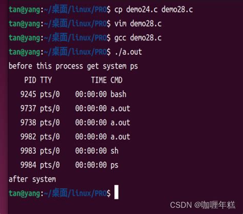 linux系统编程之进程（system函数、popen函数） csdn博客