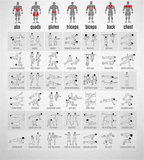Muscle Group Workouts Plano De Atividades Físicas Planos De Treino E