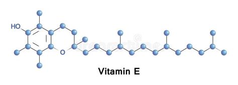 Vitamin E Tocopherol Stock Vector Illustration Of Natural 84854692