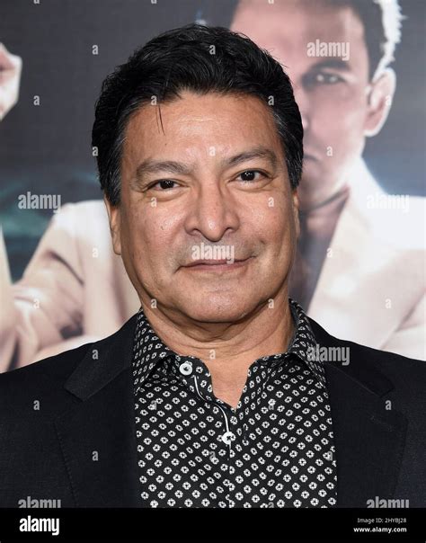 Gil Birmingham Attending The World Premiere Of Live By Night In Los