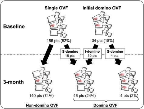 Risk Factors Of Domino Osteoporotic Vertebral Fractures Is Severe