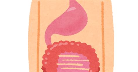 食道・胃・腸のイラスト（人体） かわいいフリー素材集 いらすとや