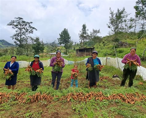 Promotion Of Sustainable Rural Development With Equal Opportunities For
