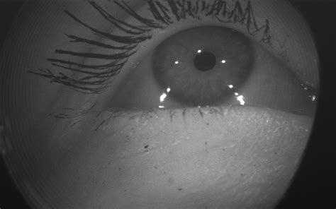 Openeds2020 Open Eyes Dataset Deepai